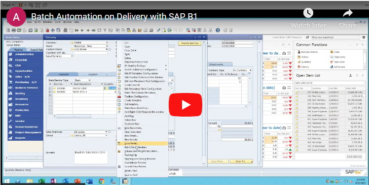 Batch Automation for SAP B1 using B1UP to streamline your operations
